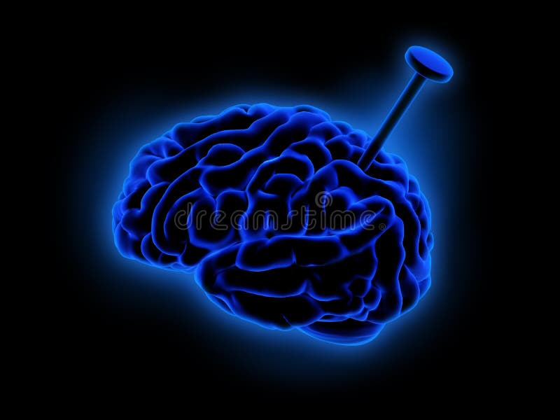 Front view of human brain stock illustration. Illustration of organs ...