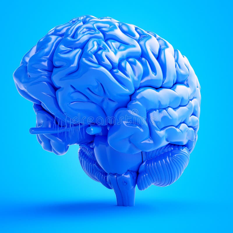 Blue brain stock illustration. Illustration of neurology - 20679145