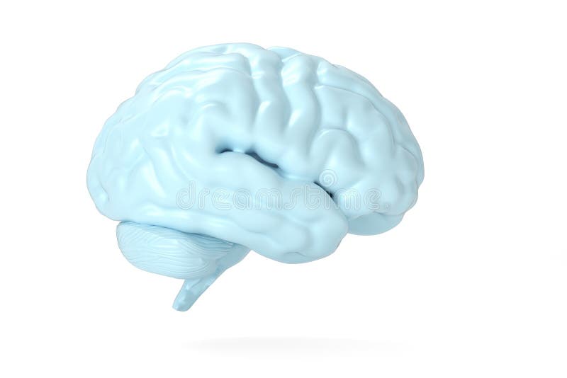 Brain Blue Cortex Stock Illustrations – 837 Brain Blue Cortex Stock ...