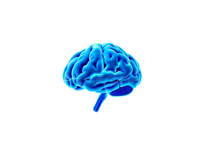 A Blue Brain with a White Background Stock Illustration - Illustration ...