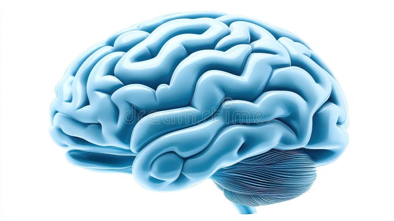 Blue Brain on White Background, Symbol of Intelligence, Creativity, and ...