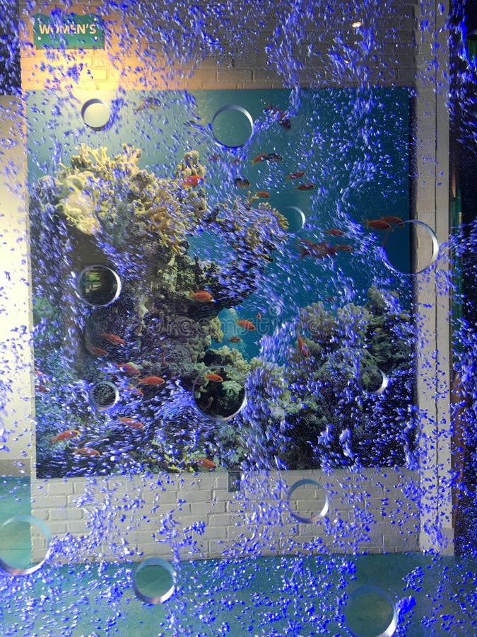 Blue bubbles stock photo. Image of bubble, water, toledo - 131275848