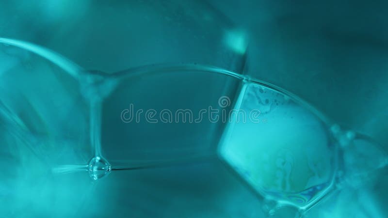 Blue Bubbles in Macro, Connection of Bubbles in Macro Stock Video ...
