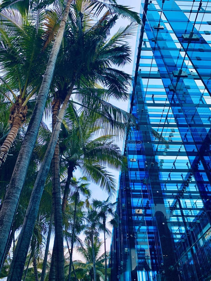 Blue building in Miami stock image. Image of palmeto - 192463915