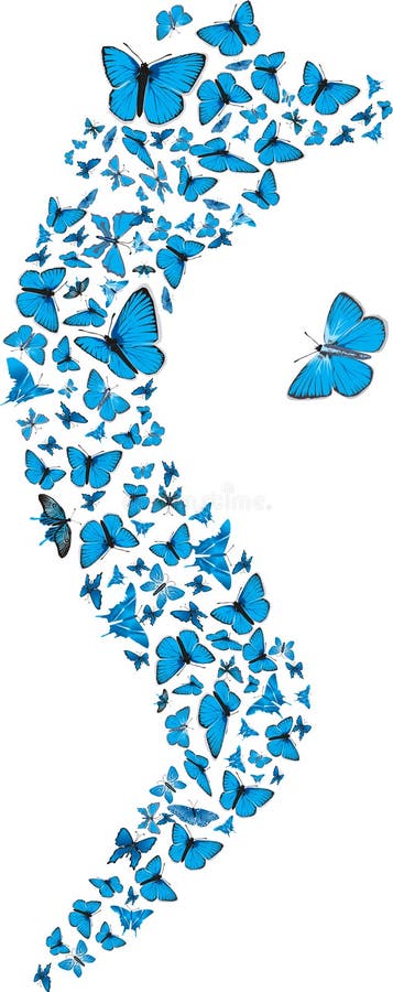Blue butterflies swarm stock vector. Illustration of group - 20155248 Blue butterflies swarm stock vector. Illustration of group - 20155248