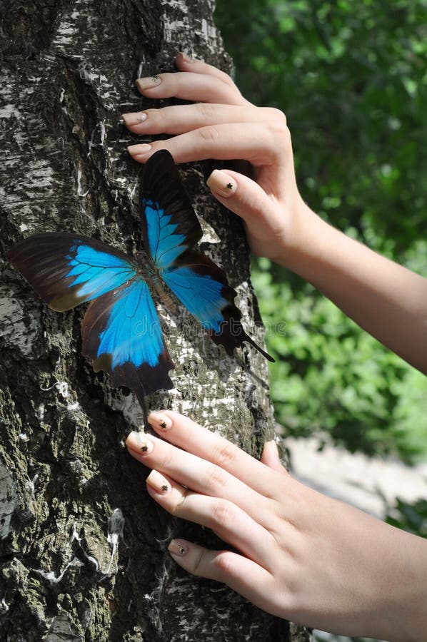 Blue butterfly and hands stock image. Image of sail - 109480347