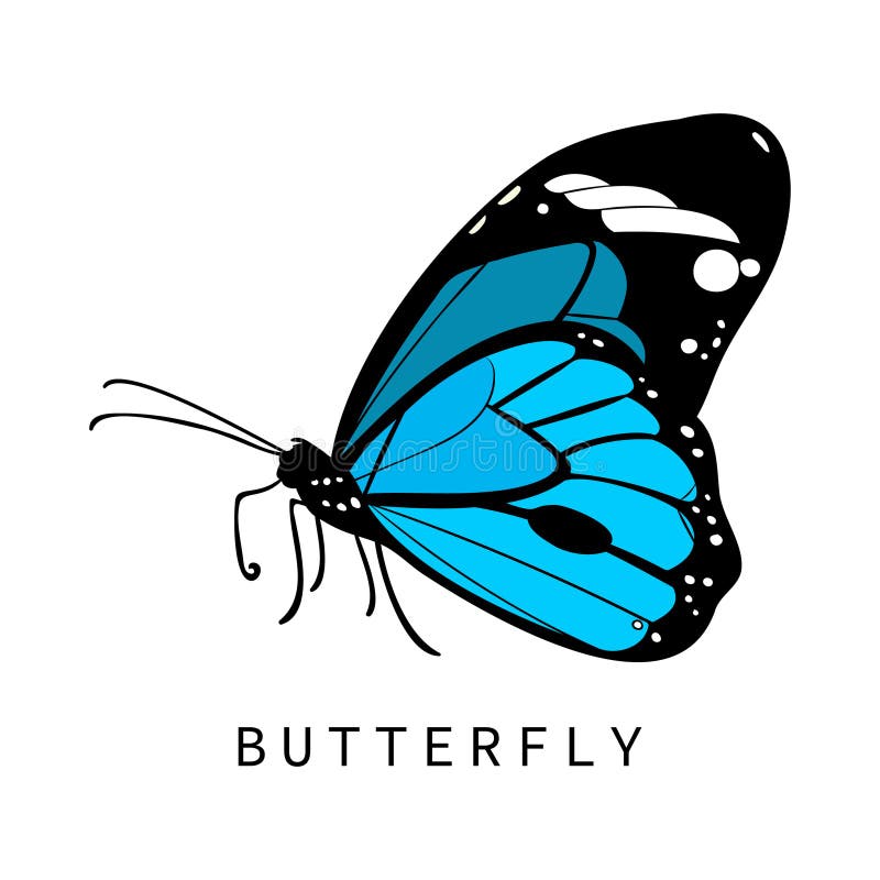 Blue Butterfly Logo in a Flat Design. Vector Illustration Stock Vector ...