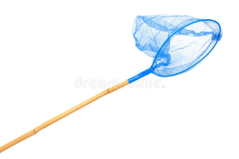 107,147 Blue Butterfly Stock Photos - Free & Royalty-Free Stock Photos ...