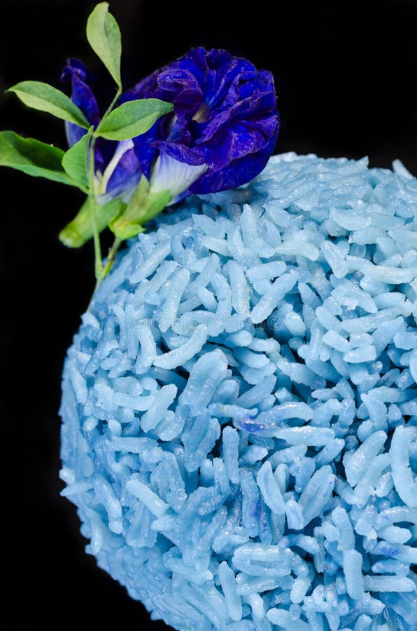 Blue Butterfly Pea Cooked Rice Stock Photo - Image of health, thai ...