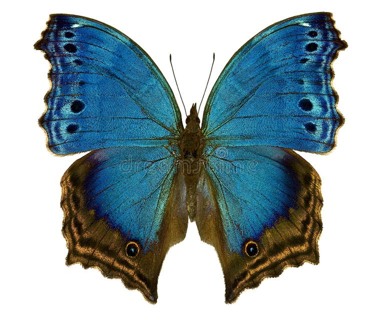 2,351 Salamis Salamia Stock Photos - Free & Royalty-Free Stock Photos ...