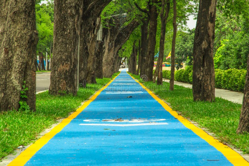 Blue bycicle lane stock image. Image of street, relax - 75559557