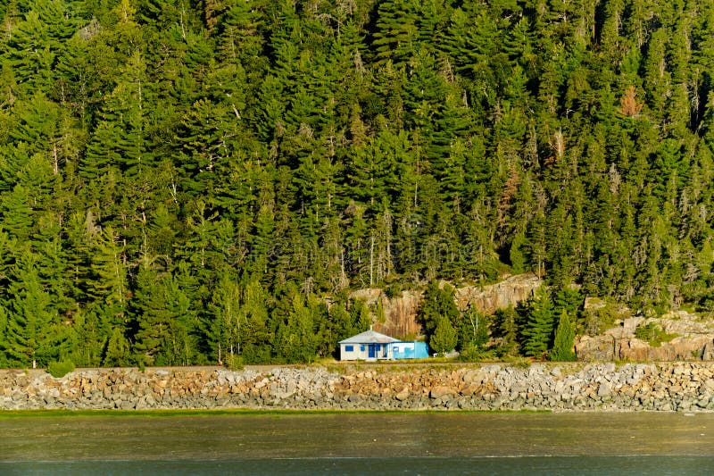 Blue Cabin on Evergreen Shore Stock Photo - Image of plants, quebec ...