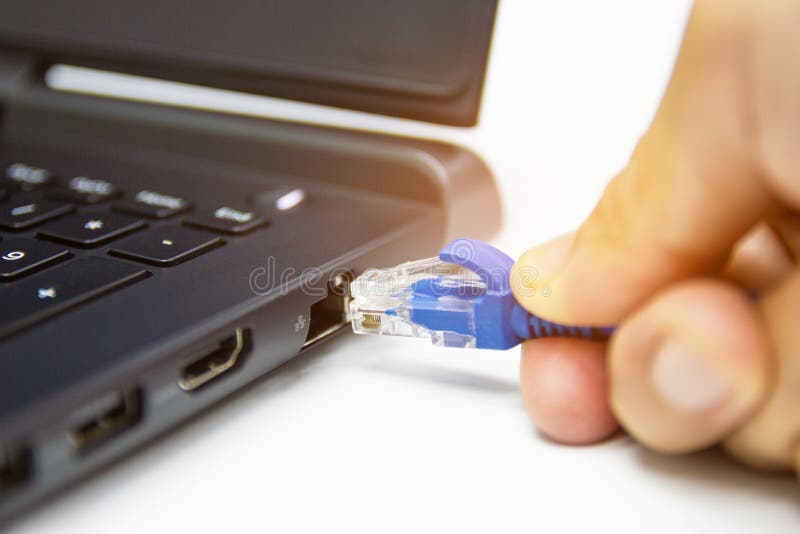 Blue Cable Network Connection To a Lan Port of Laptop Computer on White ... Blue Cable Network Connection To a Lan Port of Laptop Computer on White ...