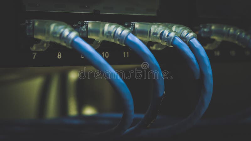 Blue Cablings Switch stock photo. Image of internet, cablings - 96598340