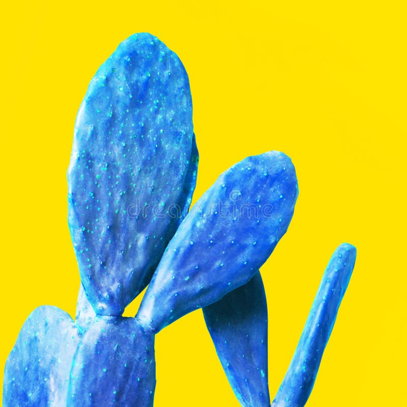 Blue Cactus on Yellow Background. Creative Design Stock Image - Image ...
