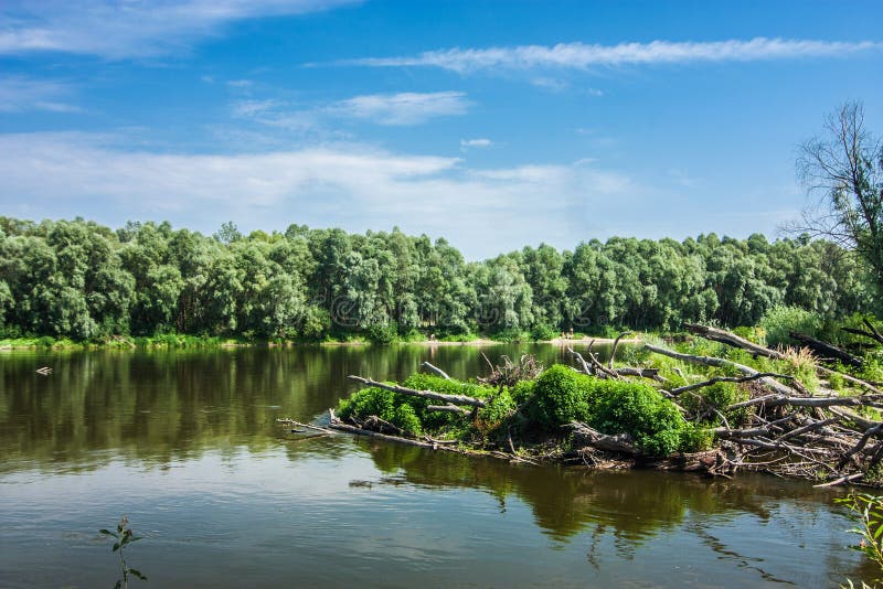 Blue Calm Ake among Green Trees Stock Photo - Image of green, travel ...