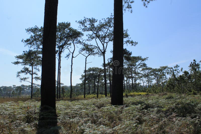 The blue and calm stock photo. Image of peaceful, blue - 49497708