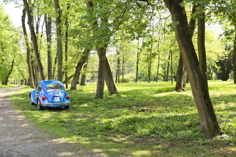 Blue car in spring park. stock photo. Image of orangery - 25367186