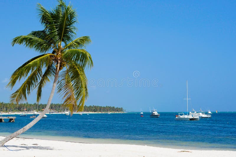 Blue Caribbean Coast Line stock photo. Image of nature - 25560952