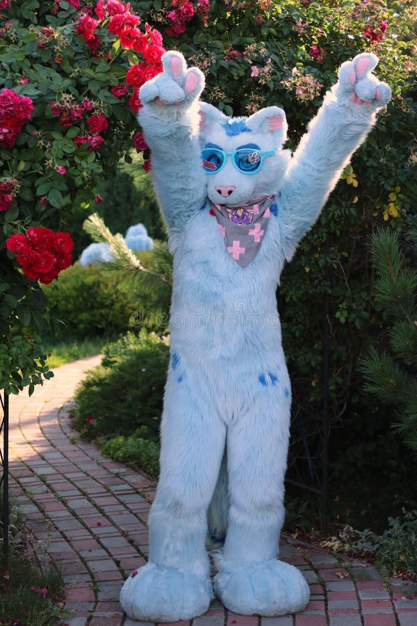 The Blue Cat S Carnival Costume on the Grass Stock Image - Image of ...