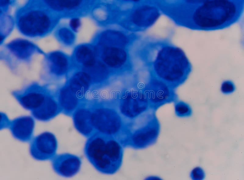 Blue cell with blue stain. stock image. Image of cells - 96652735