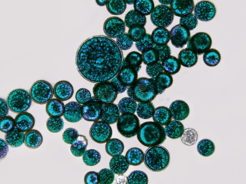 Blue Cells, Microscopic Particles. Molecules, Molecular Cell Stock ...