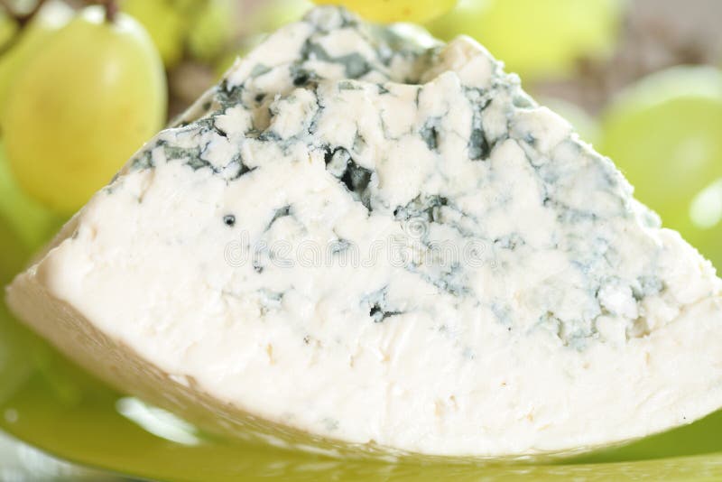 Blue cheese stock photo. Image of fungus, portion, mature - 13710488