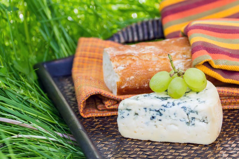 Blue cheese with grapes stock photo. Image of milk, outdoors - 45005230