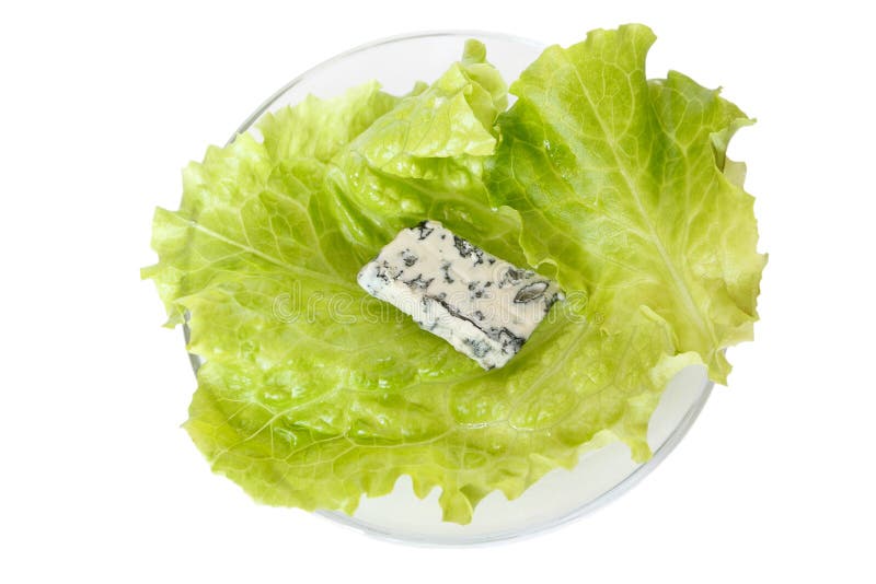 Blue Cheese on Leaf Lettuce Stock Photo - Image of breakfast, morsel ...