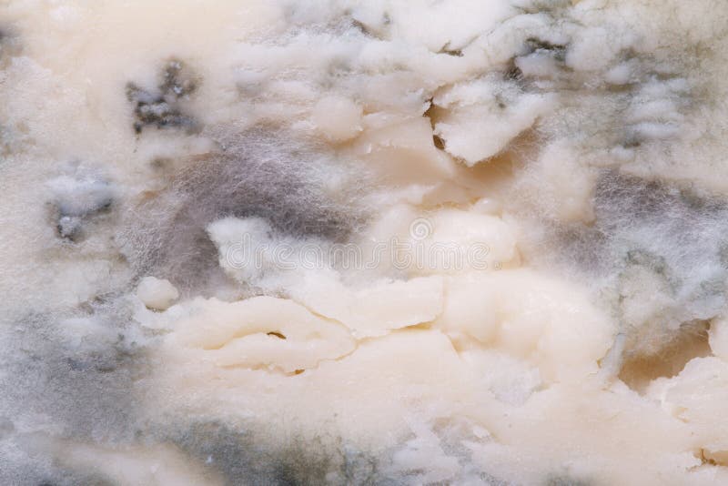 Blue Cheese Mold Texture Closeup Stock Photo - Image of french, mold ...