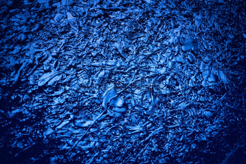 Blue Cherry Resin Macro Close Up Stock Image - Image of nature, liquid ...