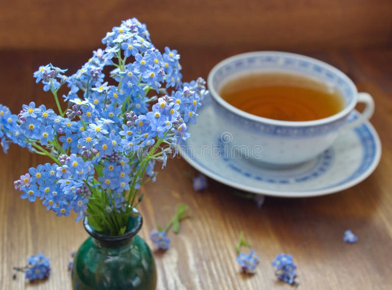 Blue China Tea Cup with Forget Me Nots Stock Image - Image of nature ...