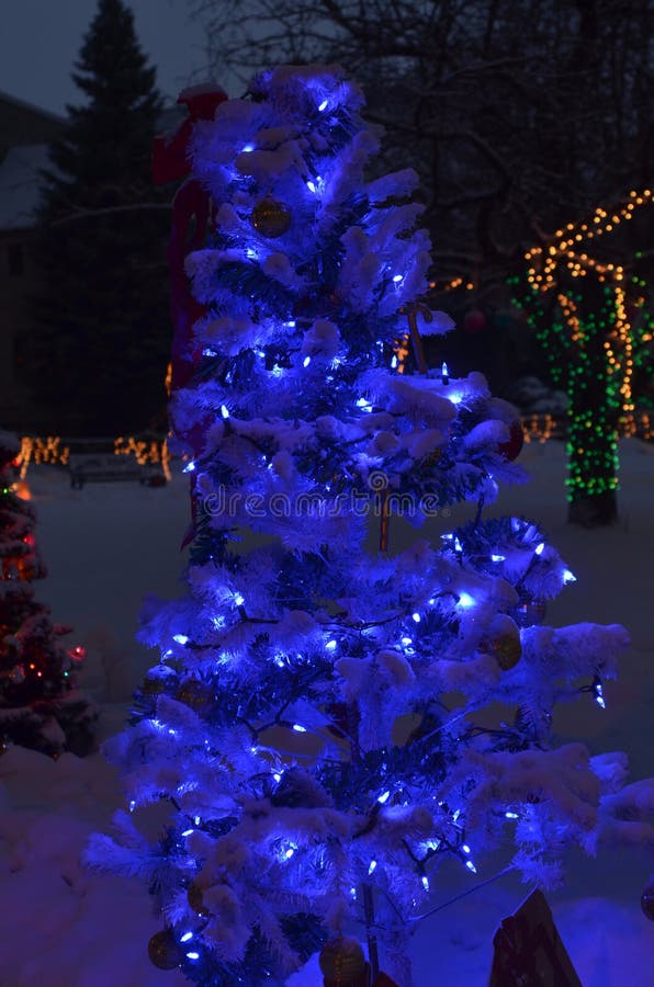Blue Christmas Tree Night Lights Stock Photo - Image of snow, christmas ...