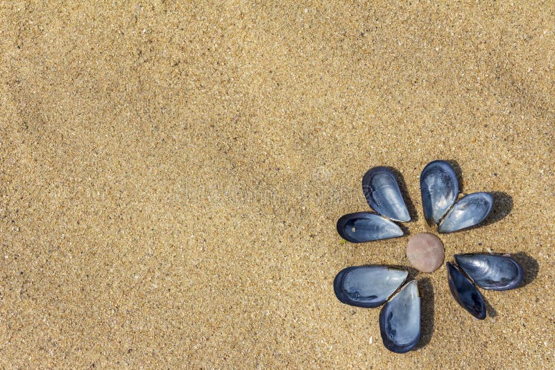 Flower Made from Sea Shells Stock Photo - Image of golden, blue: 183760852