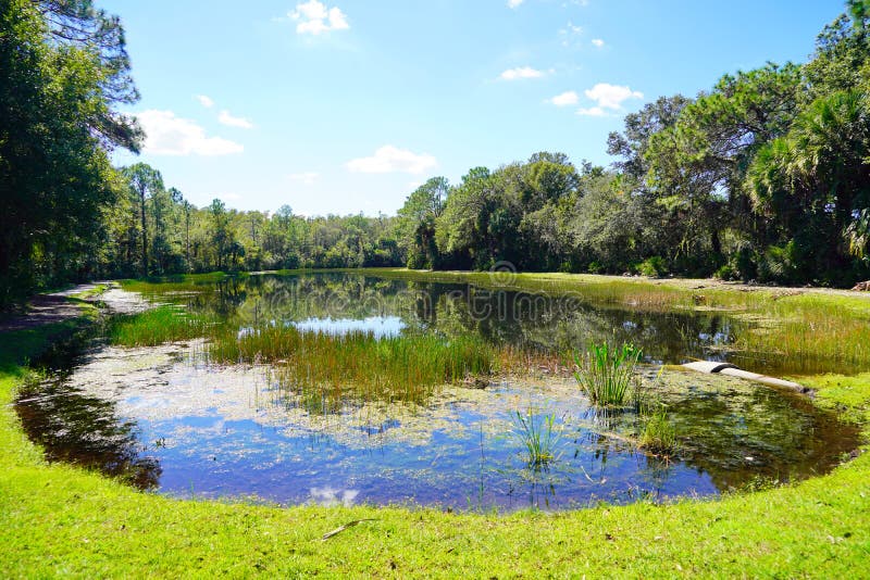 A Beautiful Blue Clear Community Pond Stock Image - Image of plant ...