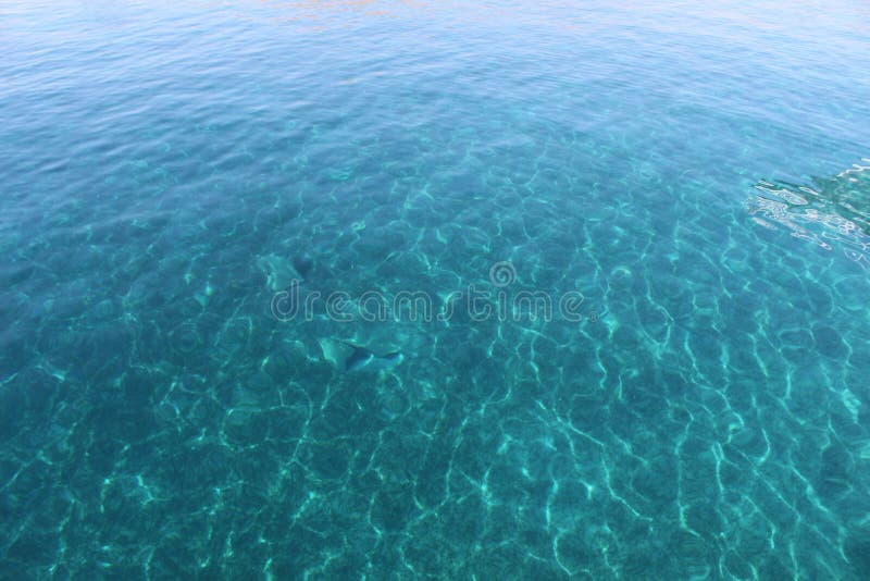Blue and clean red sea stock image. Image of liquid - 113051207