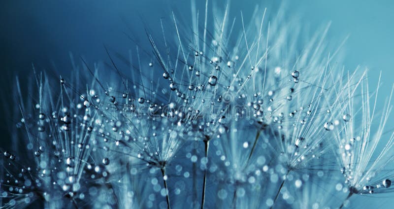 Blue, Clear, Close-up stock image. Image of soft, liquid - 105034145