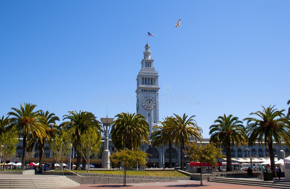Blue clock tower stock photo. Image of building, seagull - 27310954