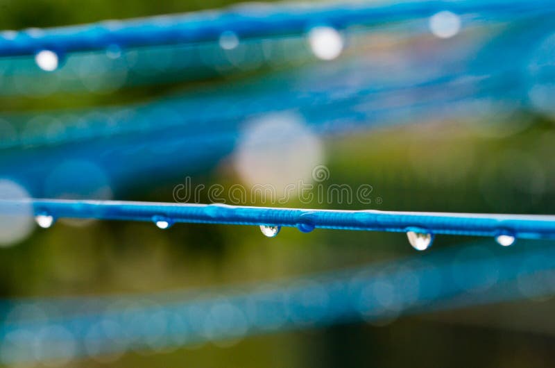 Blue Clothing Lines of a Clothes Spin with Many Raindrops at the String ...