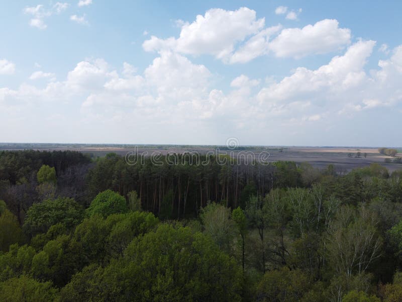 Blue Cloudy Skies Over a Dense Forest, Aerial View. Beautiful Cloudy ...