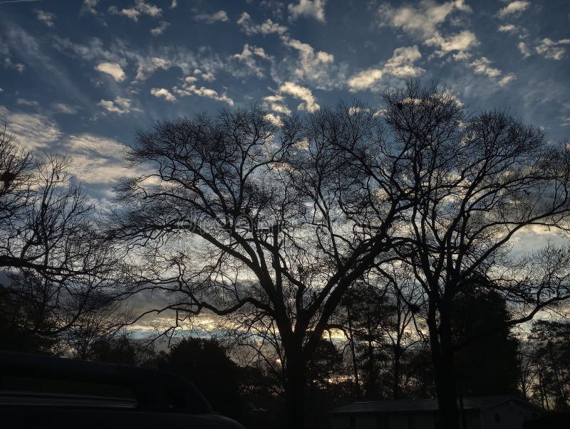 Blue Cloudy Sky Behind Silhouetted Tree Stock Image - Image of cloudy ...