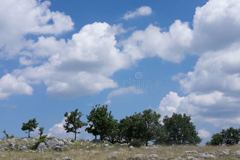 Blue Cloudy Sky with Trees Below on a Rocky Bottom Stock Image - Image ...