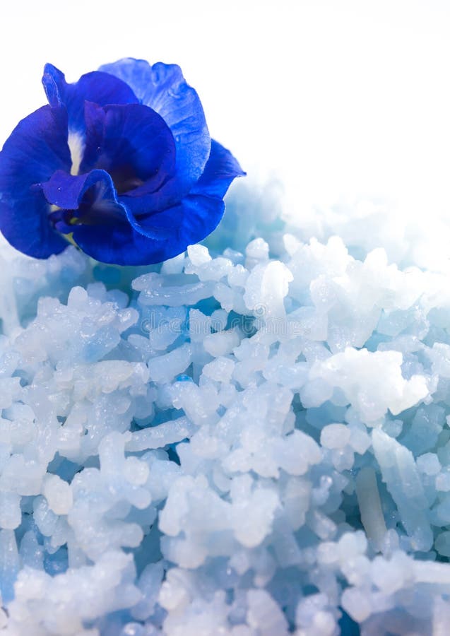 Blue Cooked Rice by Color of Butterfly Pea Flower Stock Image - Image ...