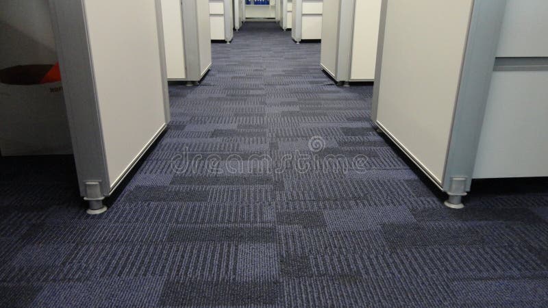 Carpet Pattern Office