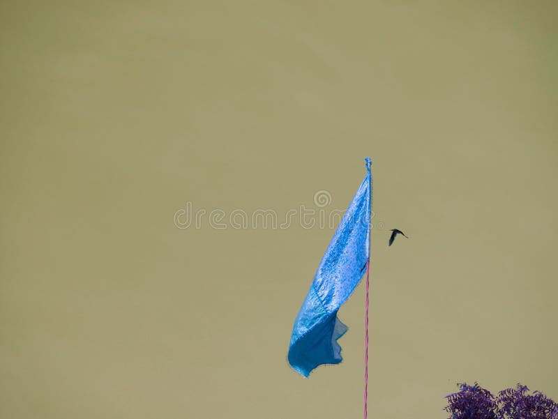 Color Flying Flag Presenting Isolated at Sky Background Stock Photo ...