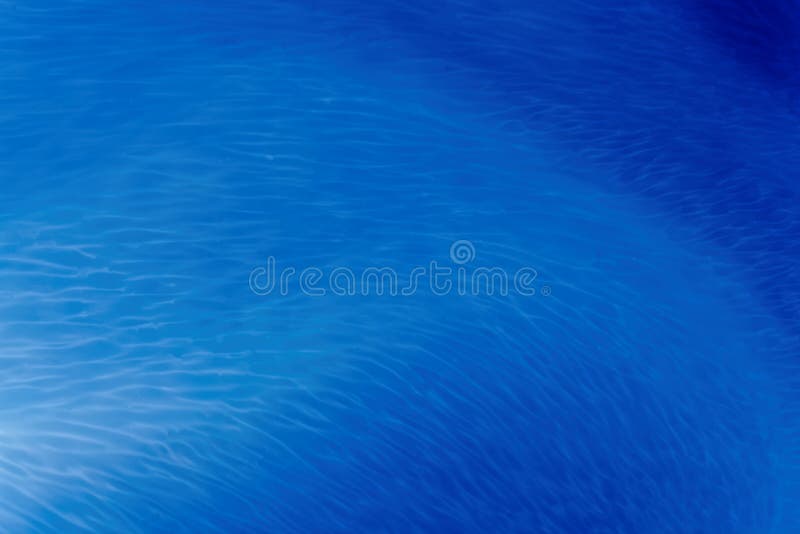 Blue Color Mixed with White Color Stock Photo - Image of backgrounds ...