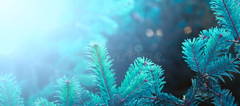 Blue color Swimming pool stock photo. Image of resort - 206664886