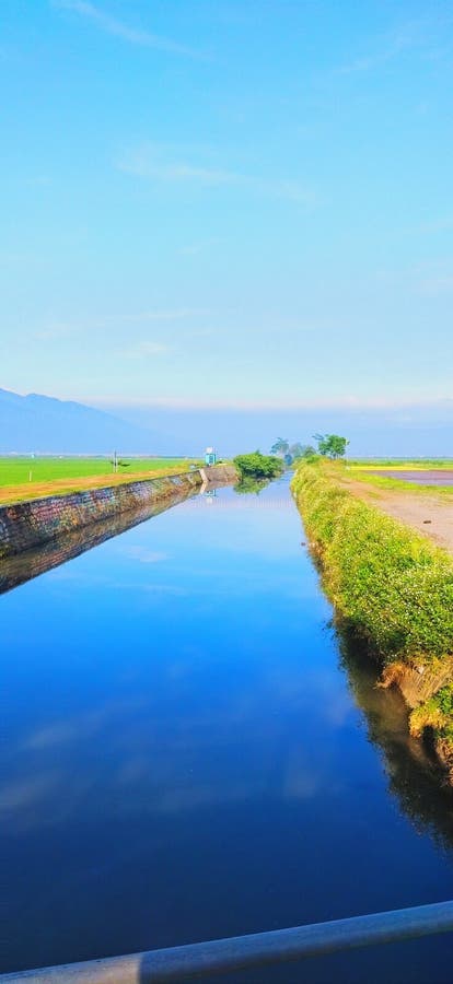 The Blue Color of the World in the Morning with Someone Stock Photo ...