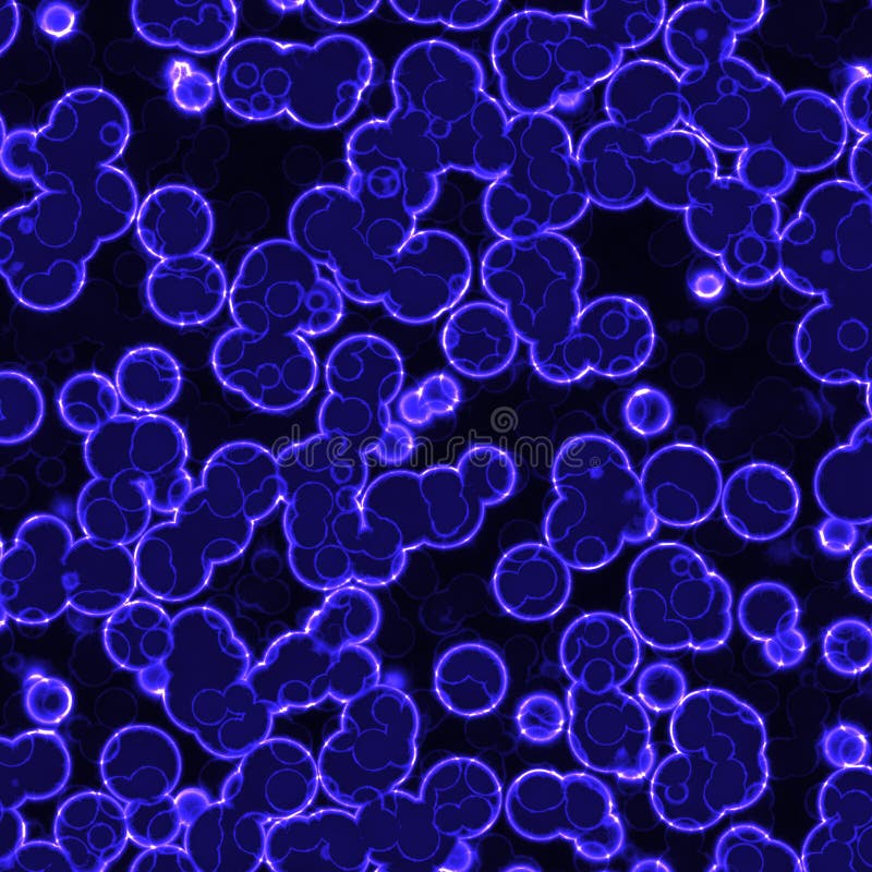 Blue colored bacteria stock illustration. Illustration of biology - 4196800