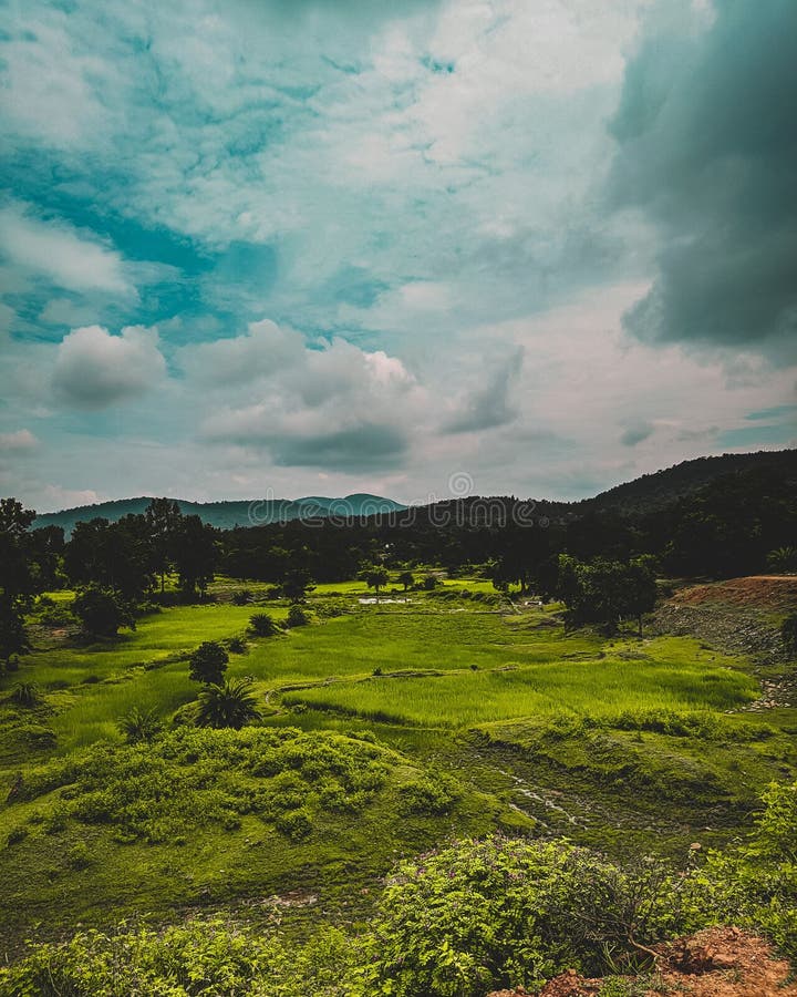 Blue Colour Grading and Mobile Photography Stock Image - Image of green ...